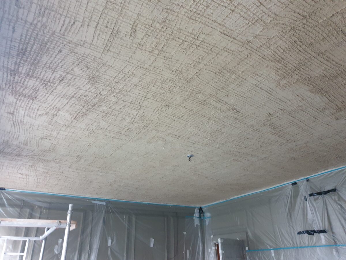 lime plastering & lath and plaster ceilings – Weyford