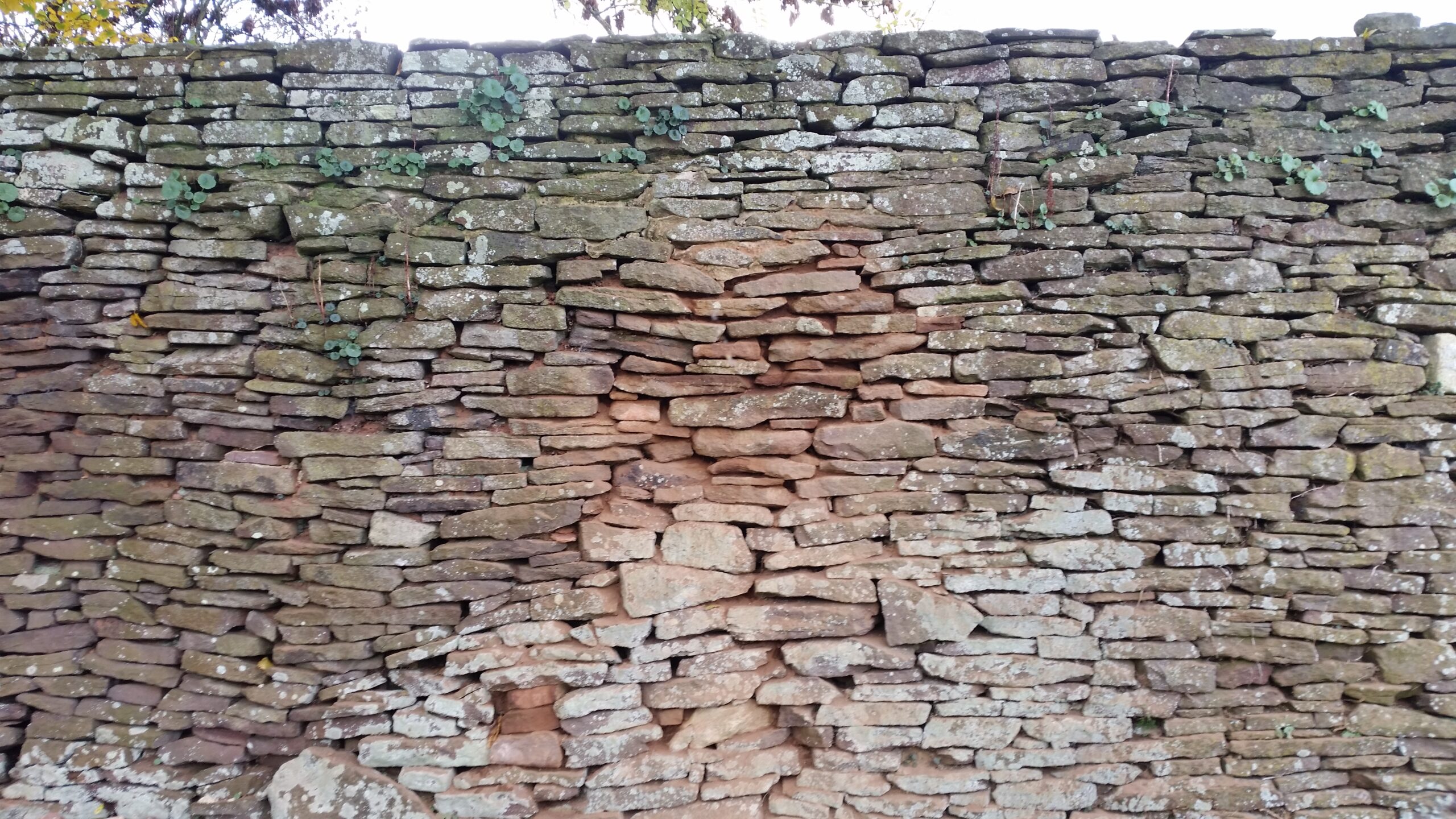 Stone walling – Weyford